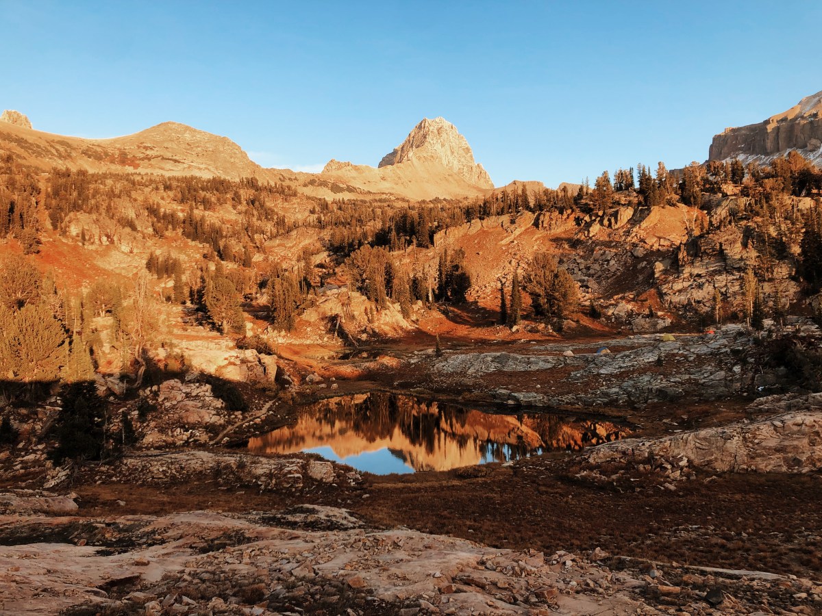 Drew Higgins – Environmental Journalist